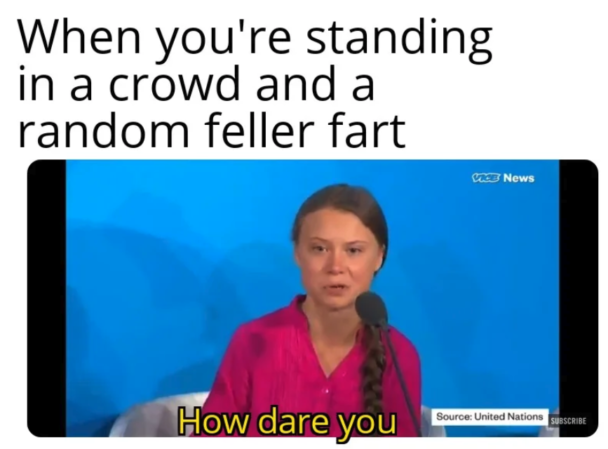 Hilarious Greta Thunberg Memes: 15 One Liners and Puns Available