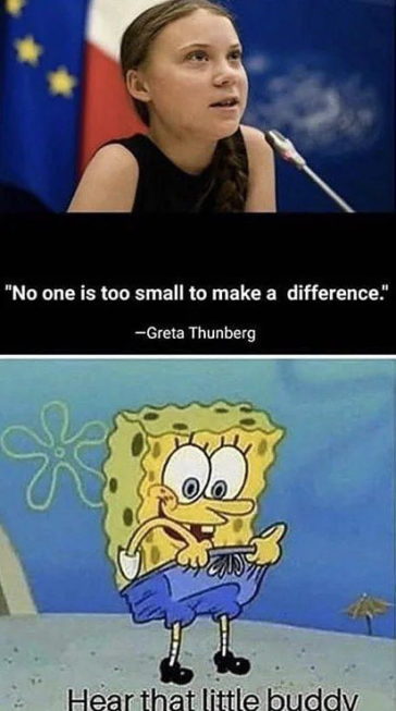 Hilarious Greta Thunberg Memes: 15 One Liners and Puns Available