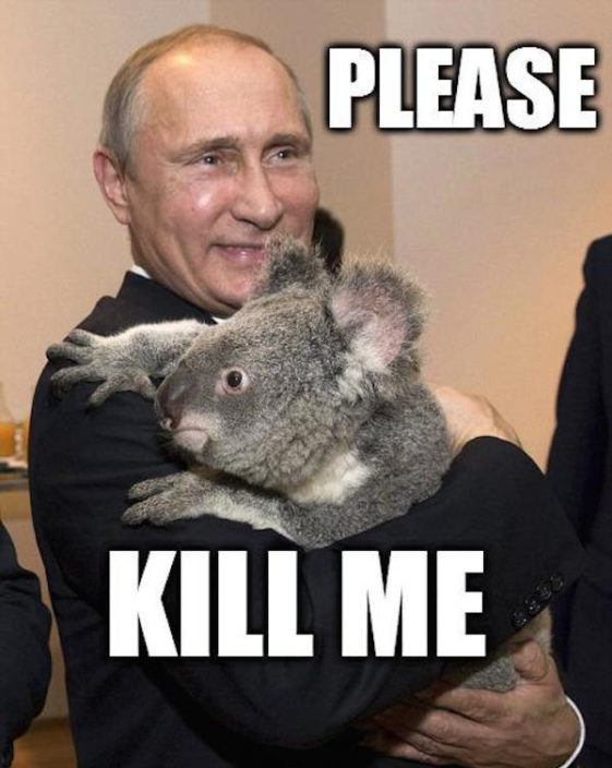 Hilarious Putin Memes: 15+ Puns & One Liners Available
