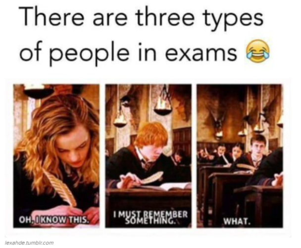 15 Exam Memes - New Memes Revised for 2023