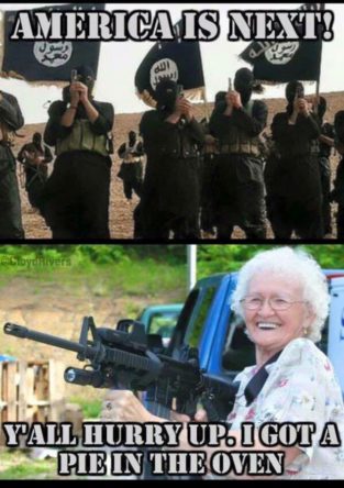 15 Funny Gun Memes that will make you laugh