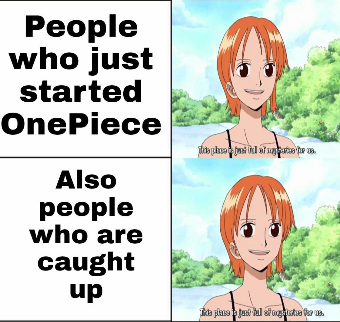 15 One Piece Memes Creative Memes Updated For 2023 15 One Piece Memes Creative Memes Updated For 2023