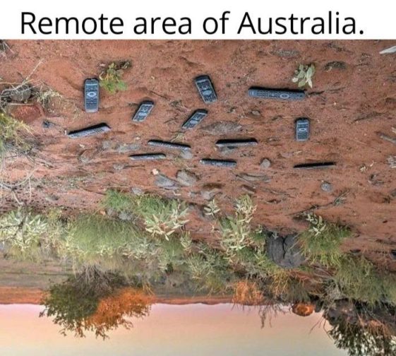 Witty Australian Puns and Memes (15+ and growing)