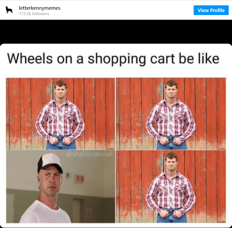 A spectacular library of Letterkenny one liners