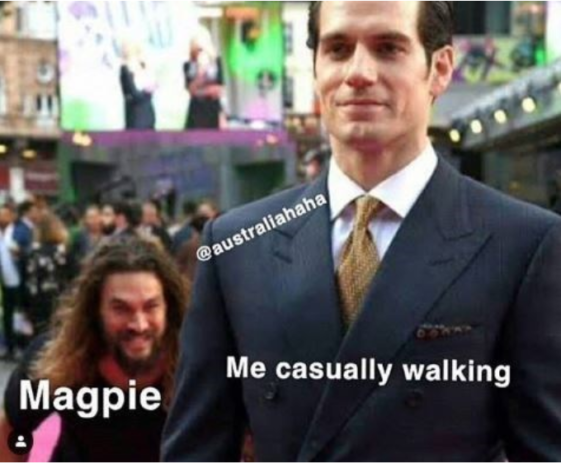 Witty Australian Puns and Memes (15+ and growing)