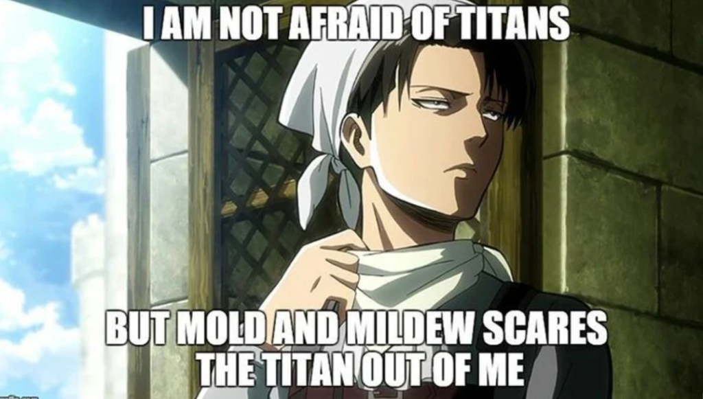 Top 15 Attack on Titan Memes of 2023 (New Collection)
