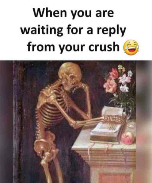 Crazy Skeleton Memes - The Wittiest and Cleverest One Liners