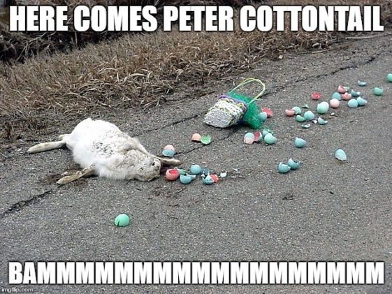 15 Easter Memes that will make you laugh out loud
