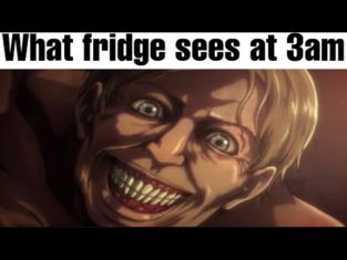 Top 15 Attack on Titan Memes of 2023 (New Collection)